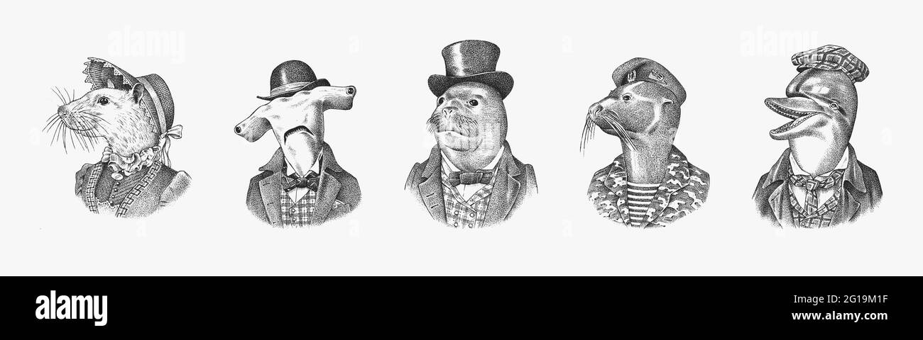 Dolphin and Great hammerhead shark. Fur seal man in military uniform ...