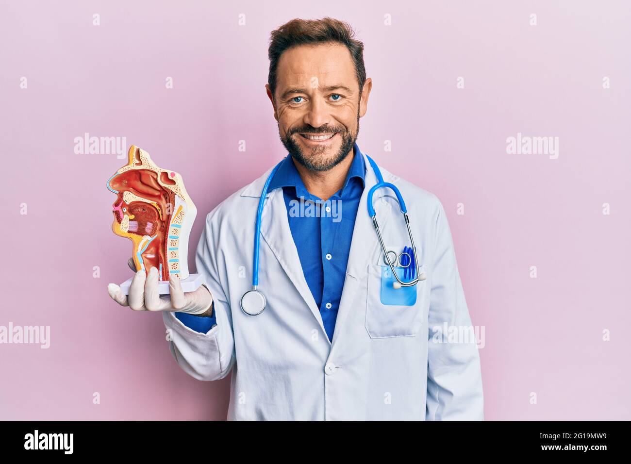 Middle age doctor man holding anatomical model of respiratory system ...