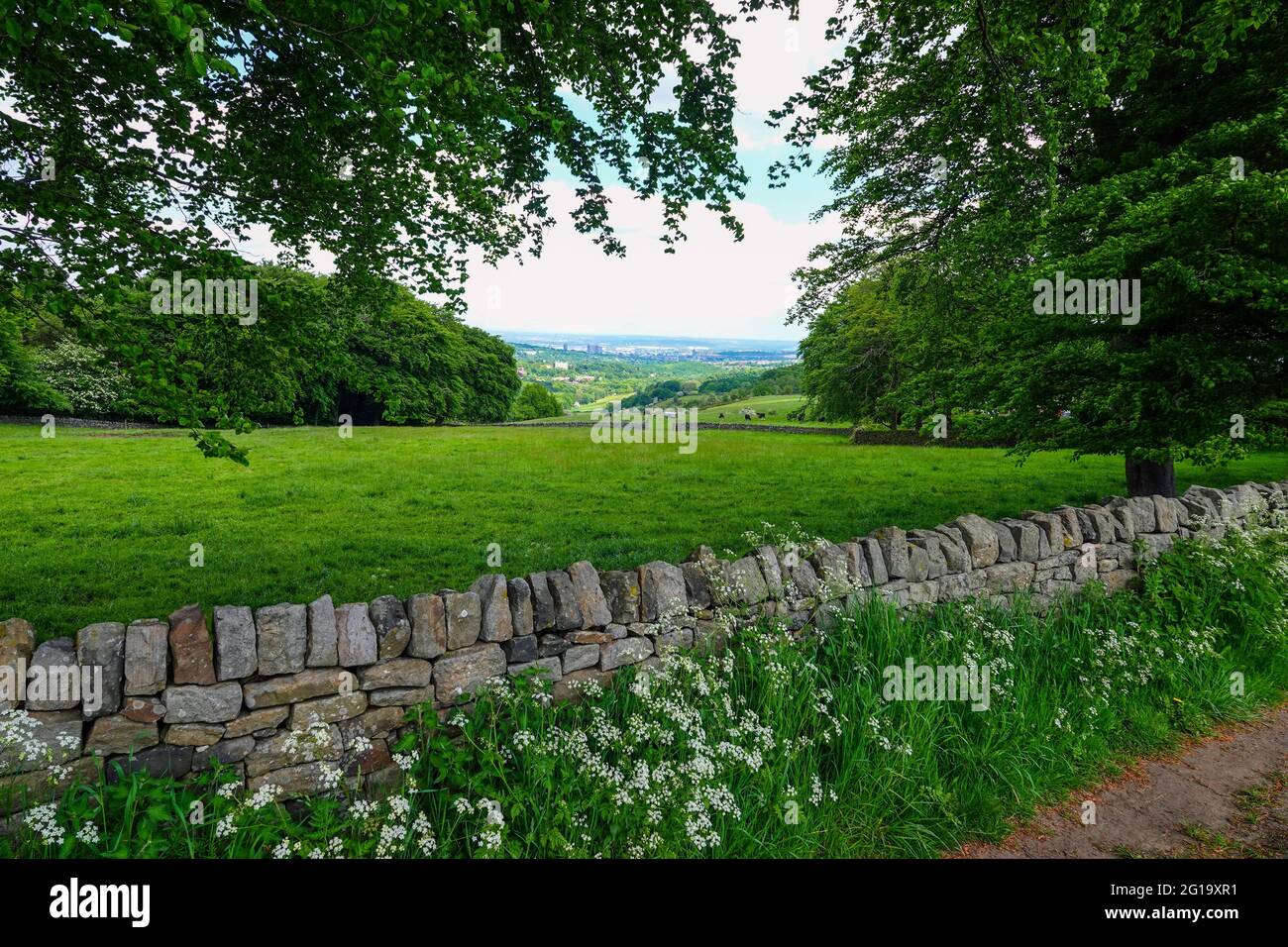 Sheffield seen through the trees from near Ringinglow South Yorkshire ...