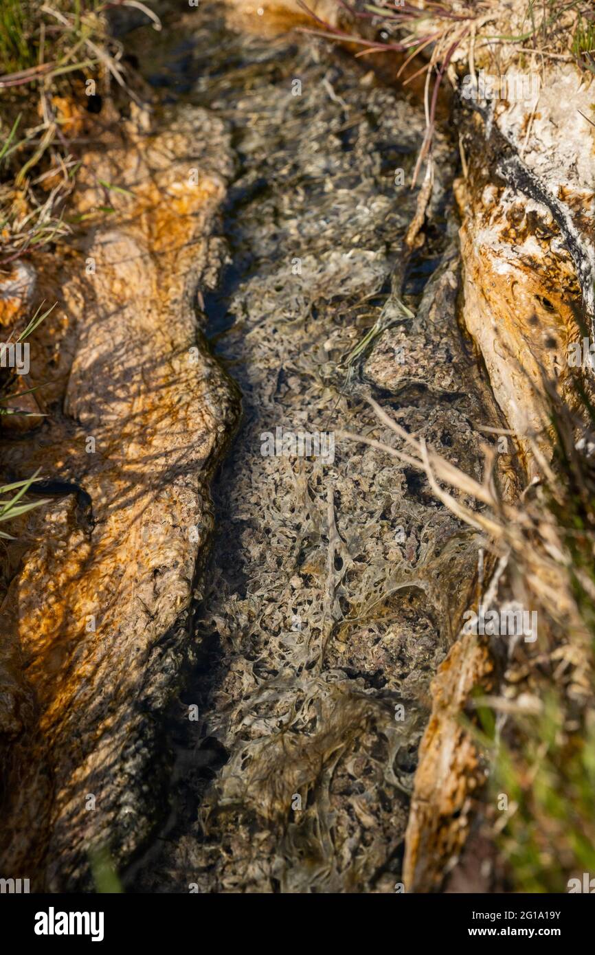 Mineralized water created a travertine stream with sediments Stock ...