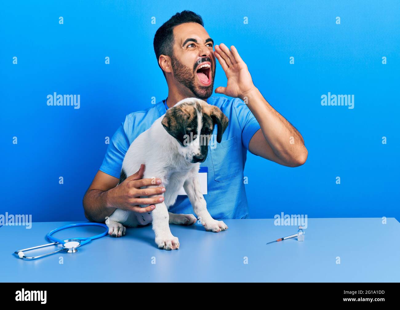 Man yelling at dog hi-res stock photography and images - Alamy
