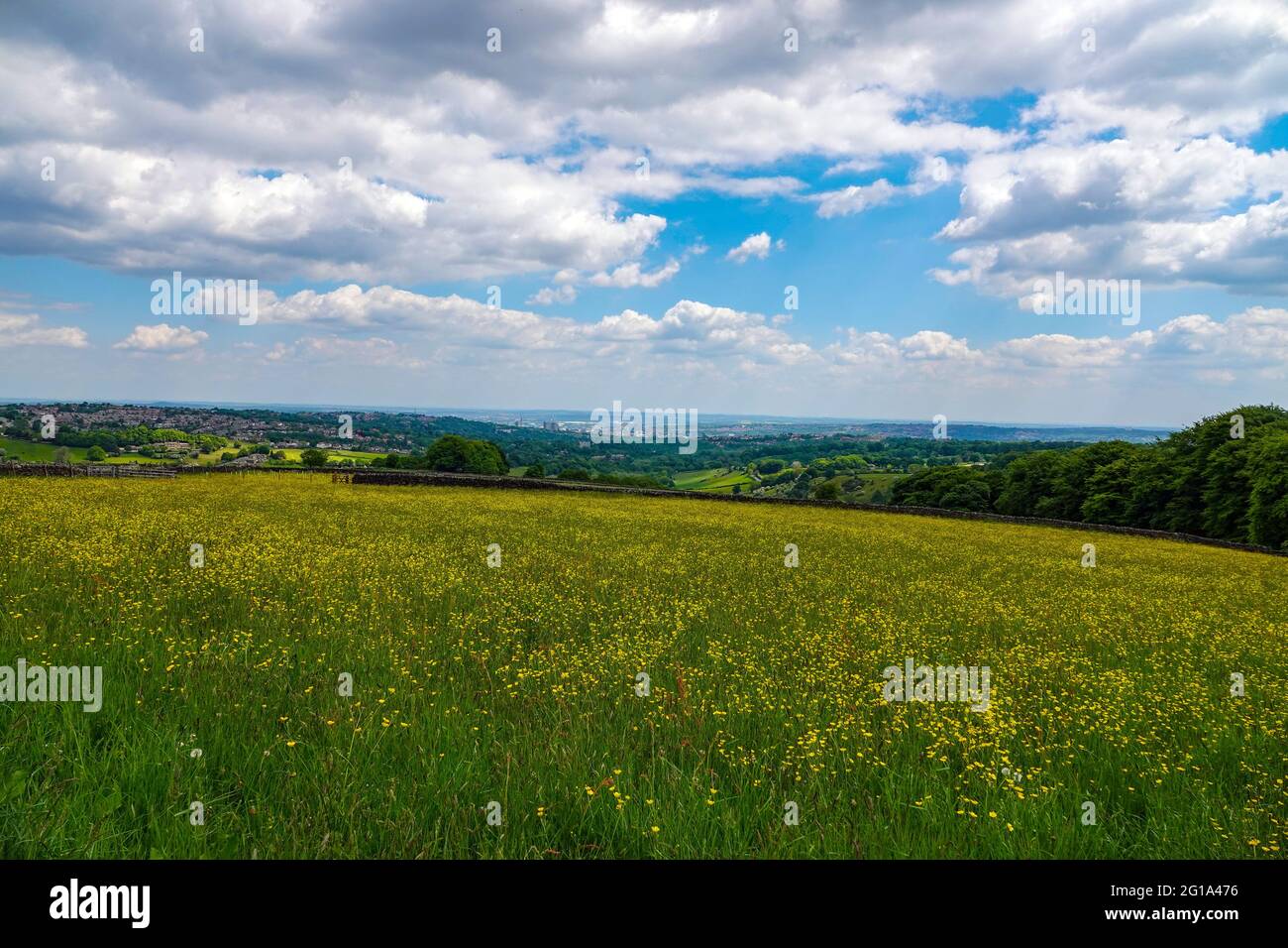 The green city of Sheffield, seen from the west, Ringinglow. South ...