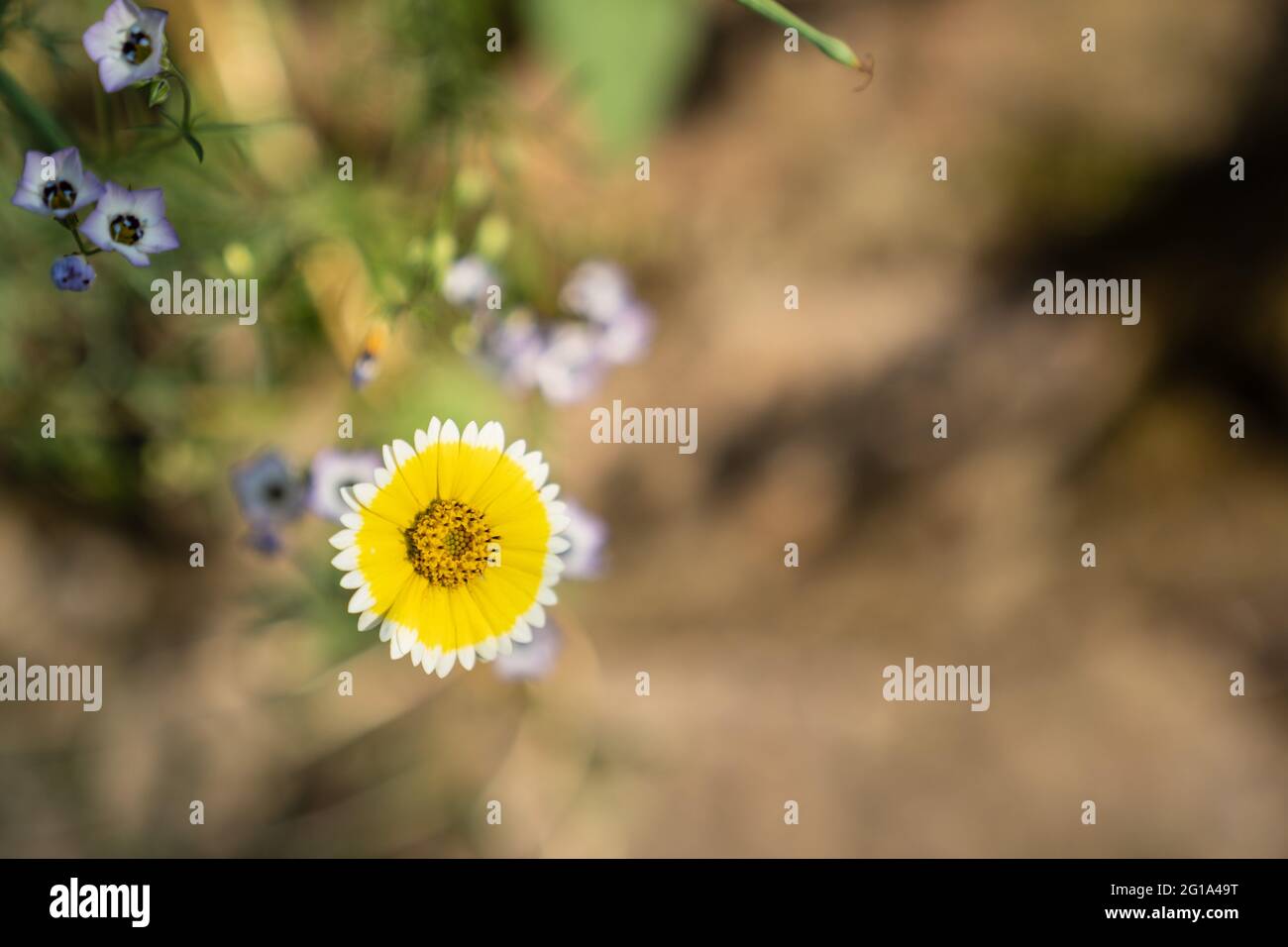 Coastal tidytips hi-res stock photography and images - Alamy