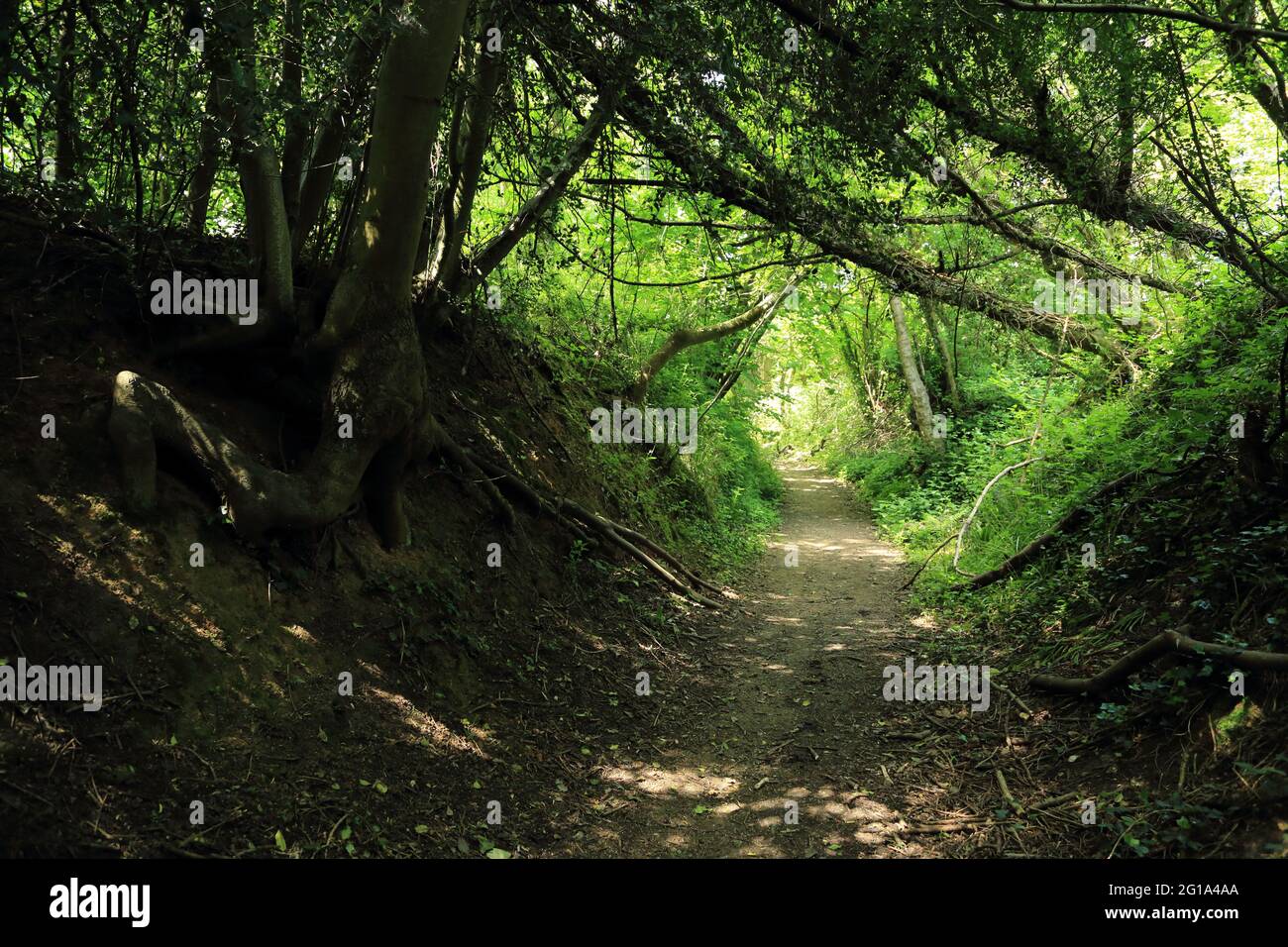 Hollow way uk hi-res stock photography and images - Alamy
