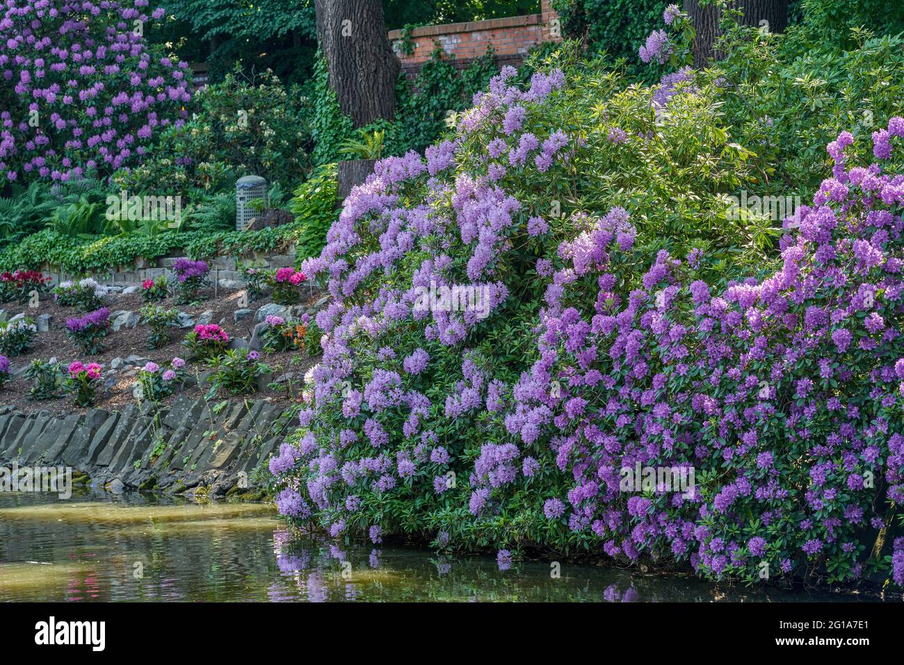 Botanical Gardens in the spring Wroclaw Lower Silesia Poland Stock ...