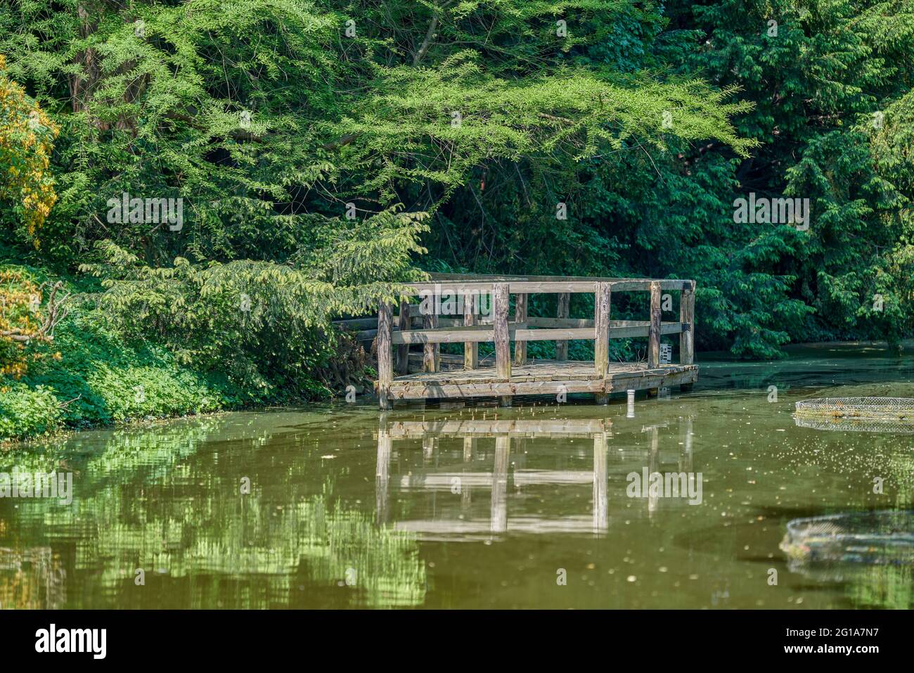 Botanical Gardens in the spring Wroclaw Lower Silesia Poland Stock ...
