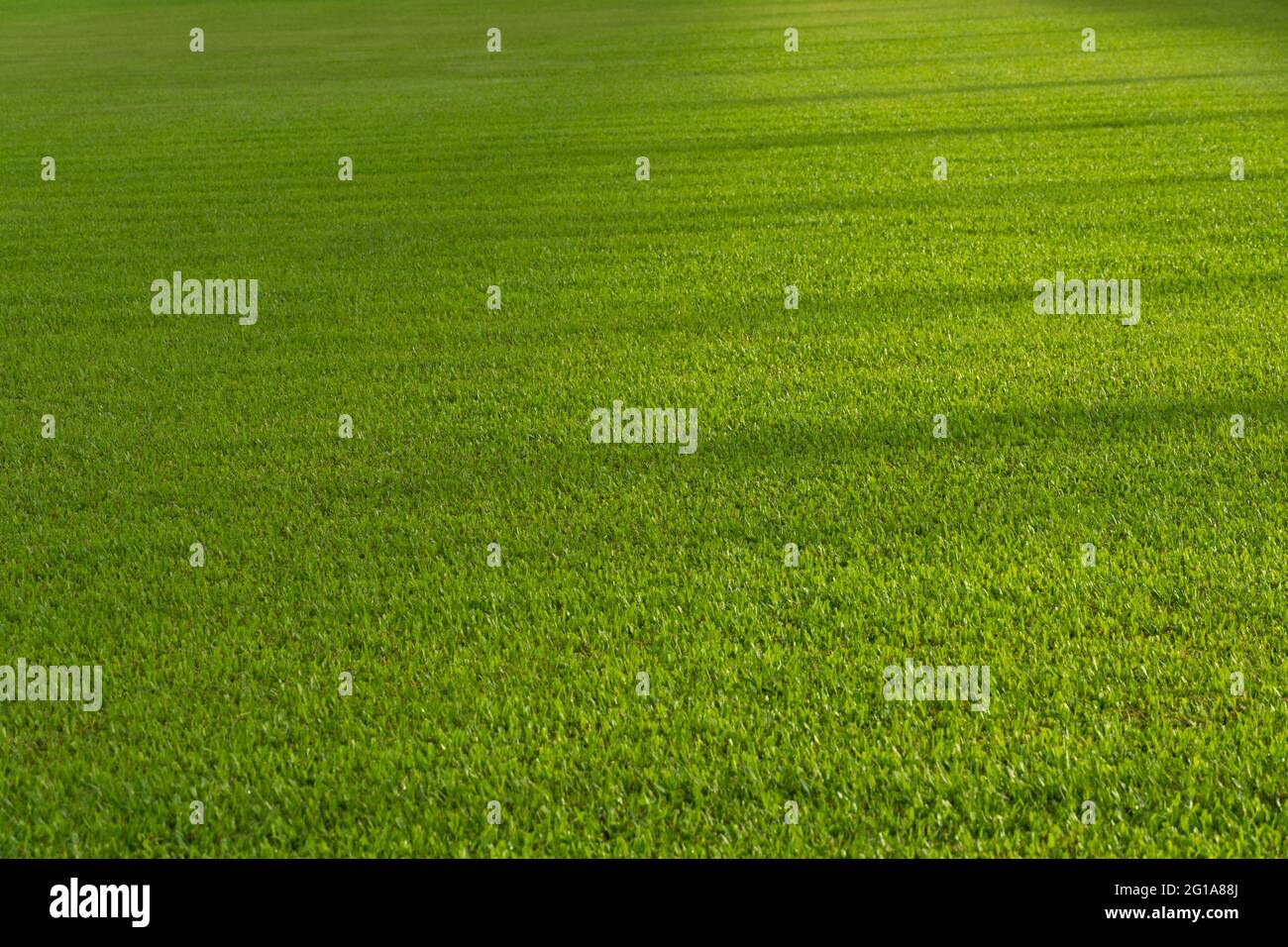 Football field texture hi-res stock photography and images - Alamy