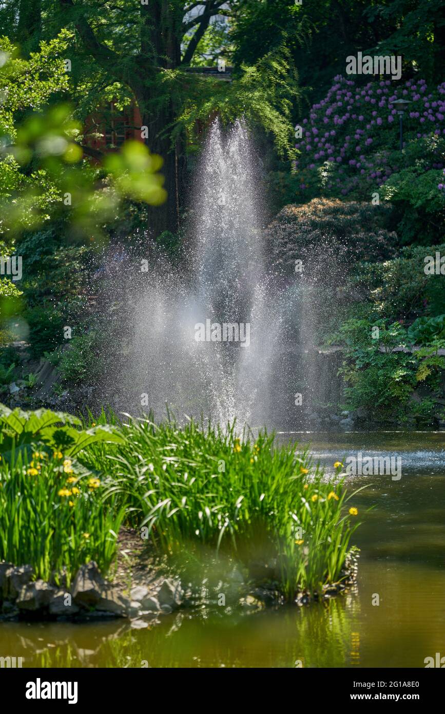 Botanical Gardens in the spring Wroclaw Lower Silesia Poland Stock ...