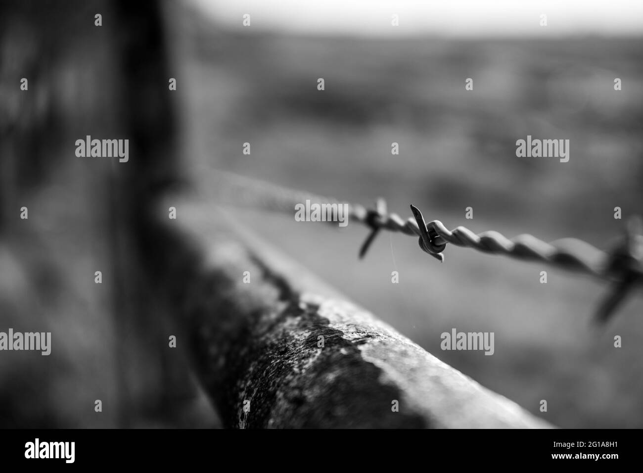 Barbed wire rod hi-res stock photography and images - Alamy