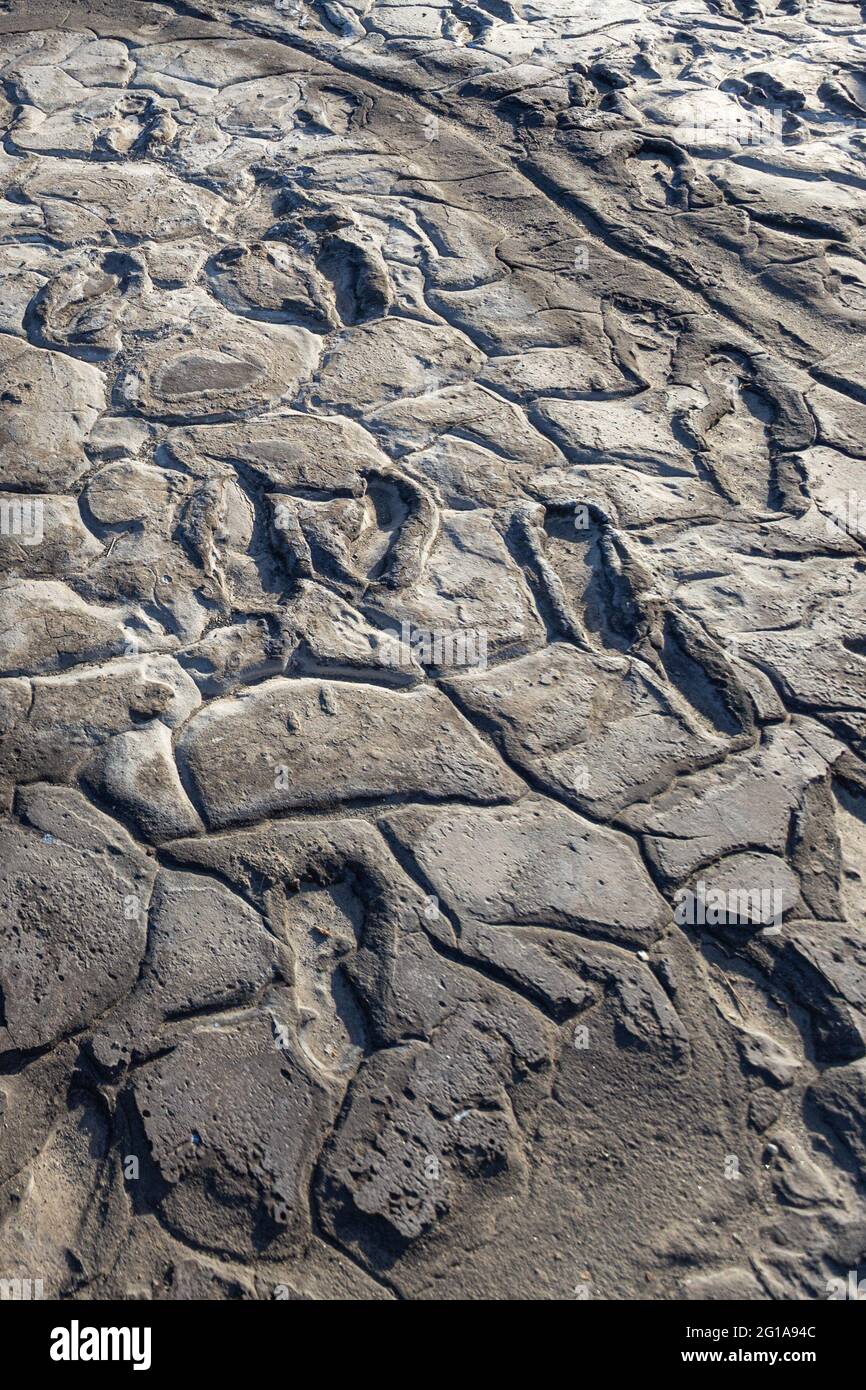 Ancient hominid footprints in Engaresero, Tanzania Stock Photo - Alamy