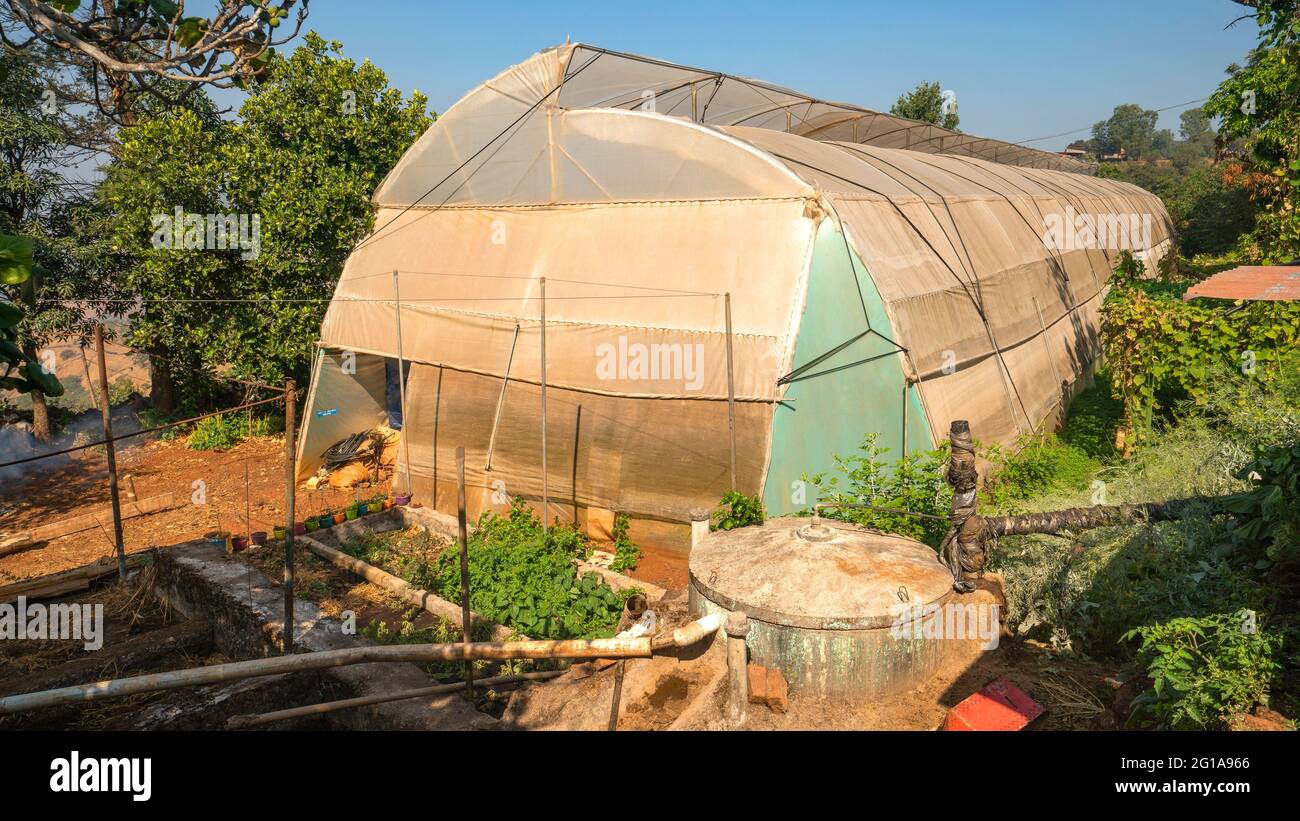Panchgani ,16, December 2020: Wide angle view showing Green House ,with ...
