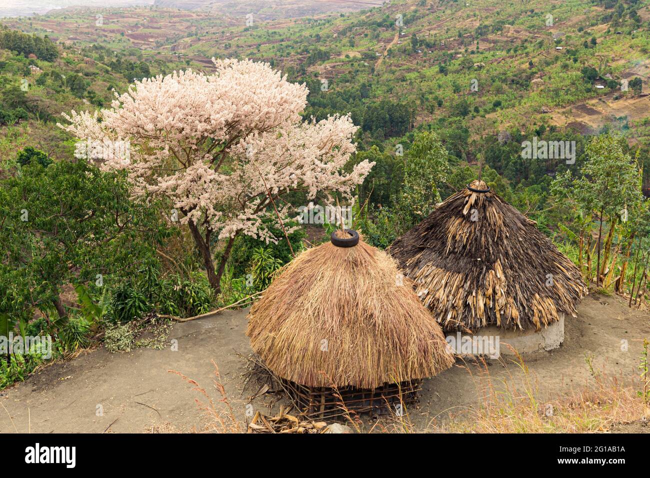 African tree huts in rural hi-res stock photography and images - Alamy