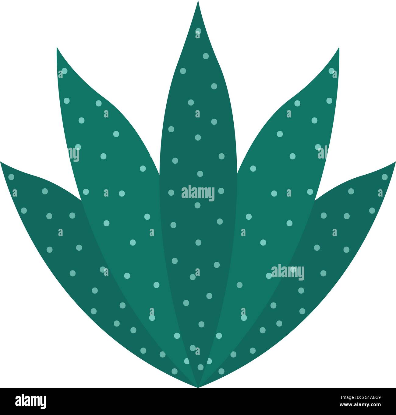 pretty cactus illustration Stock Vector Image & Art - Alamy