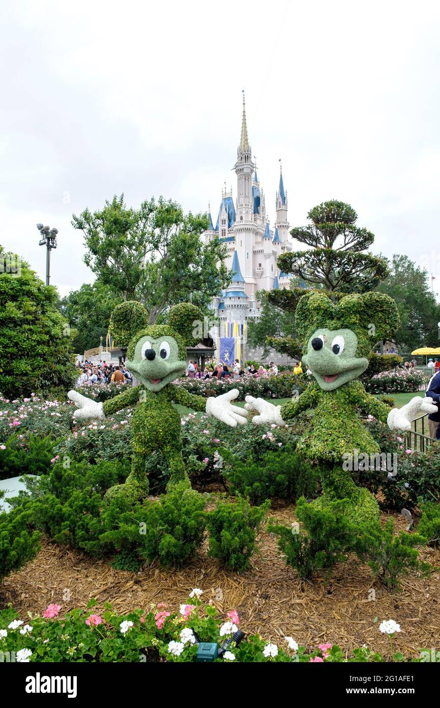 Mickey Mouse and Minnie Mouse topiary, Magic Kingdom Park, Walt Disney ...