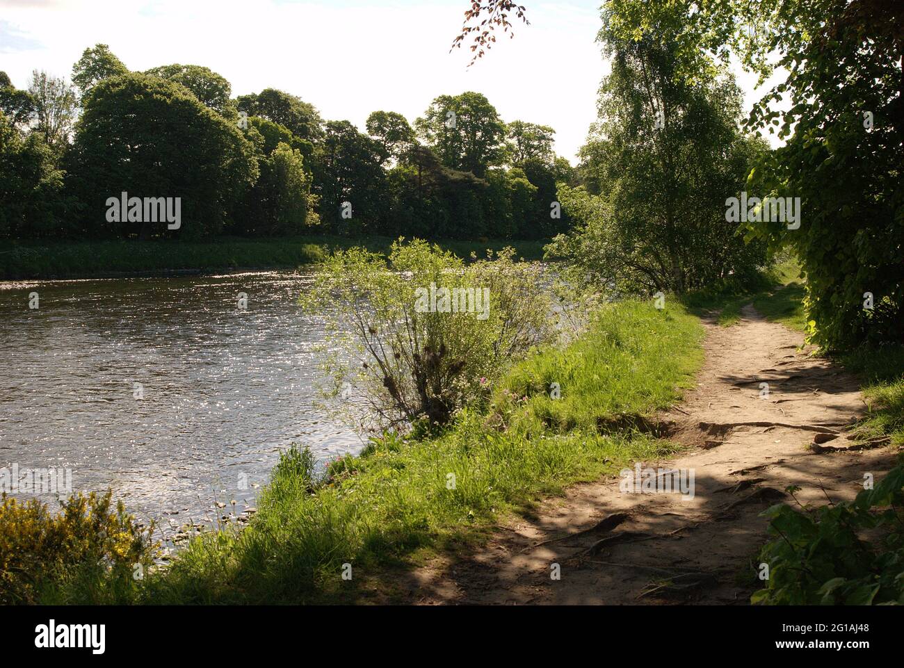 Tranquil riverside pathway in forest hi-res stock photography and ...
