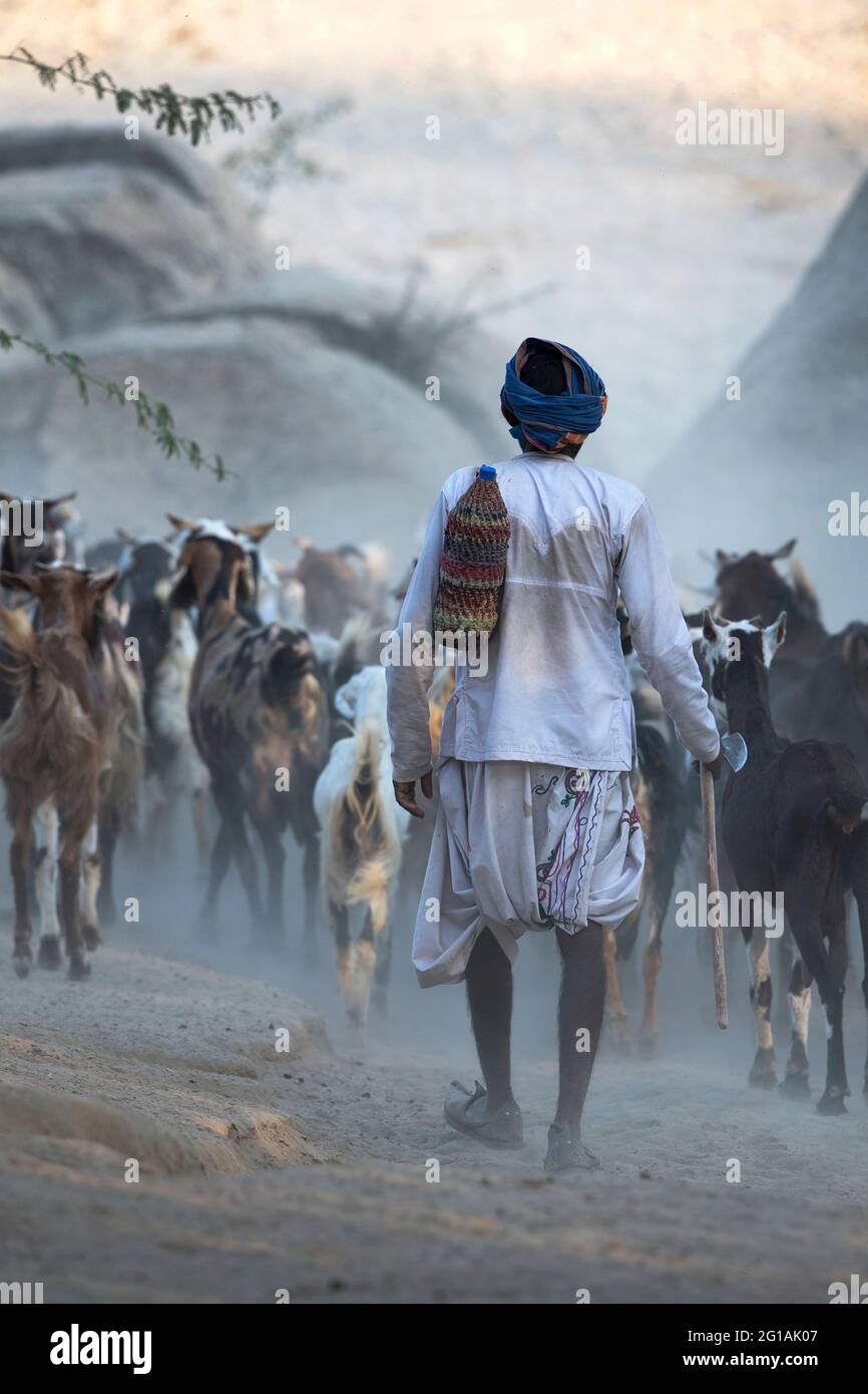 Rabari tribesman hi-res stock photography and images - Alamy