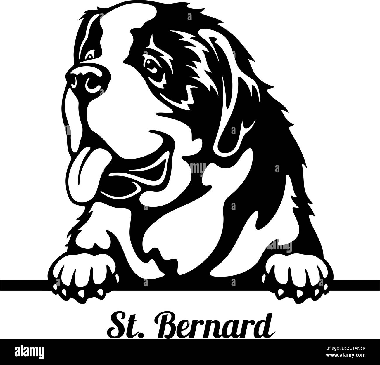 St. Bernard Peeking Dog - head isolated on white - vector stock Stock ...