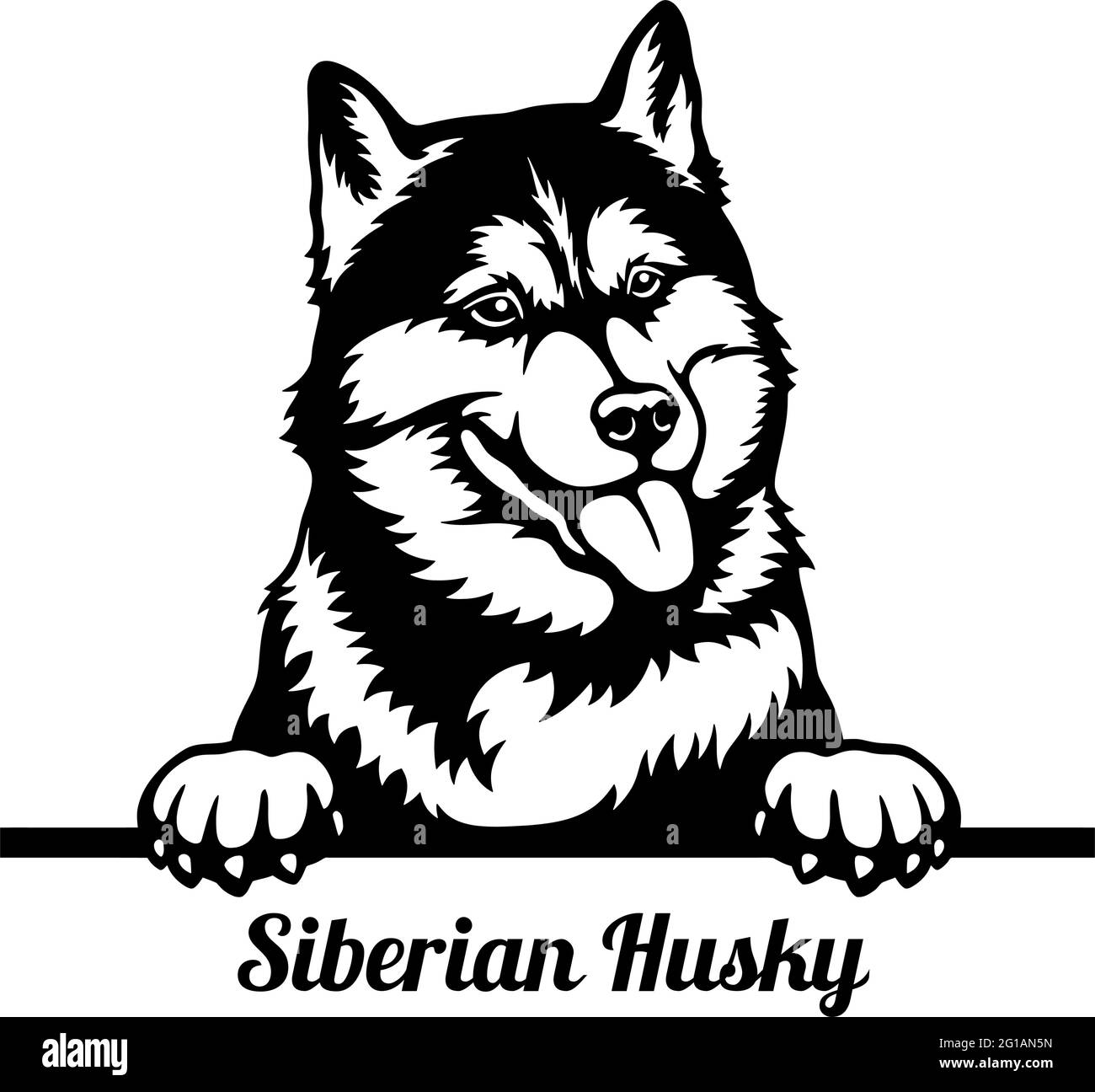 Siberian Husky Peeking Dog - head isolated on white - vector stock ...