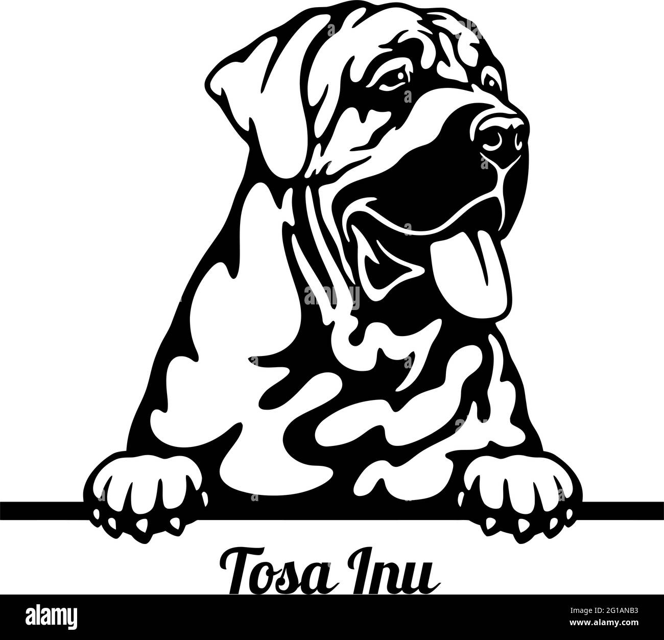 Tosa Inu Peeking Dog - head isolated on white - vector stock Stock ...