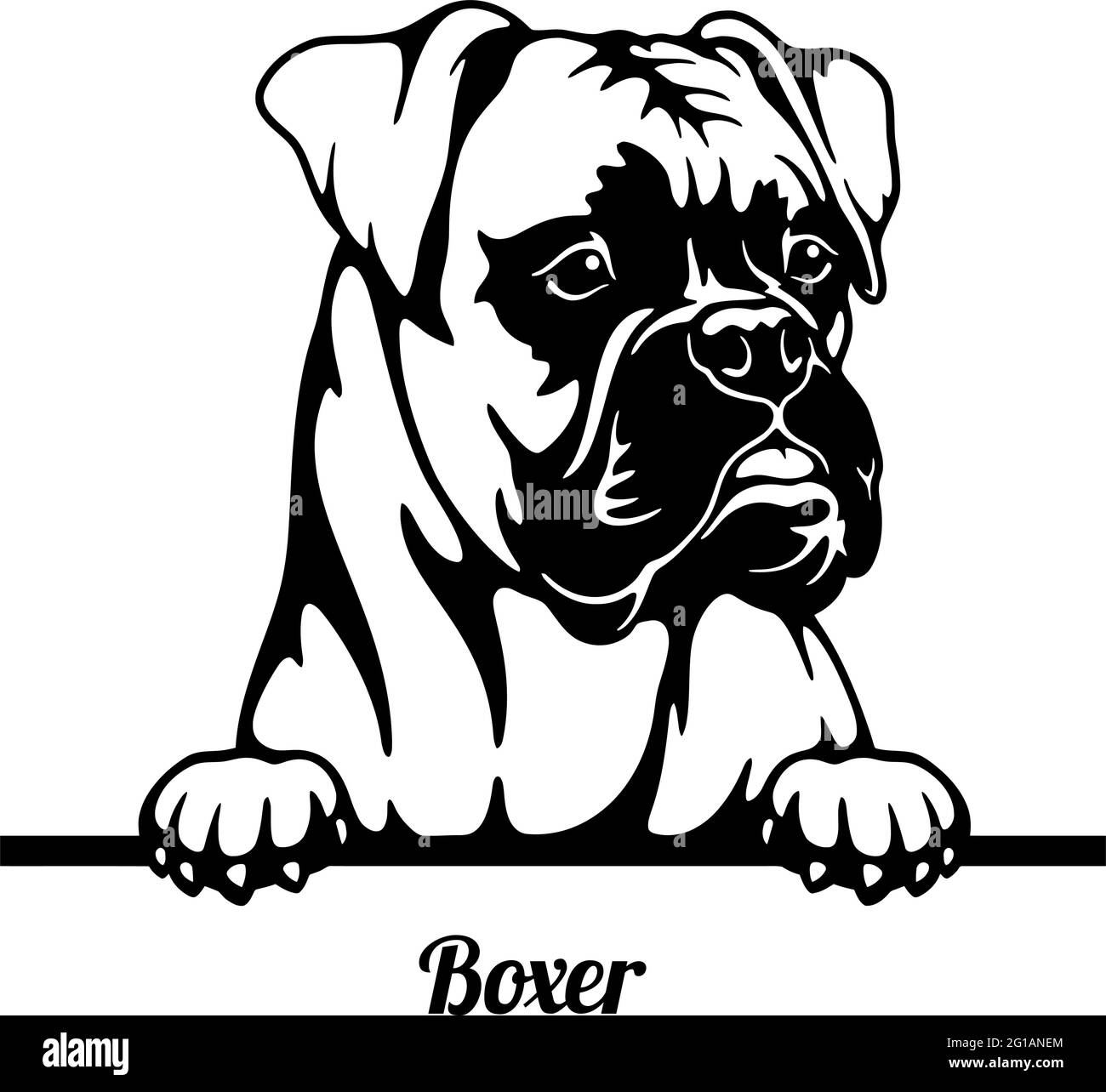 Boxer Dog Face Outline