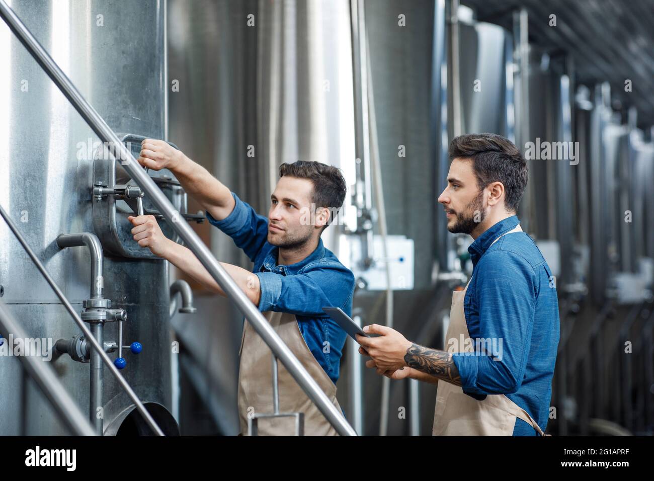 Craft beer production at plant. Fermentation of drink, small family ...