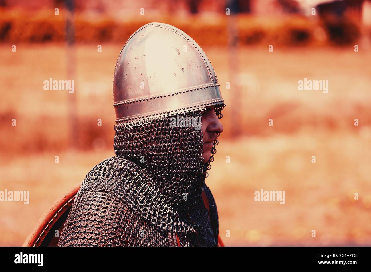 Antique warrior in profile hi-res stock photography and images - Alamy