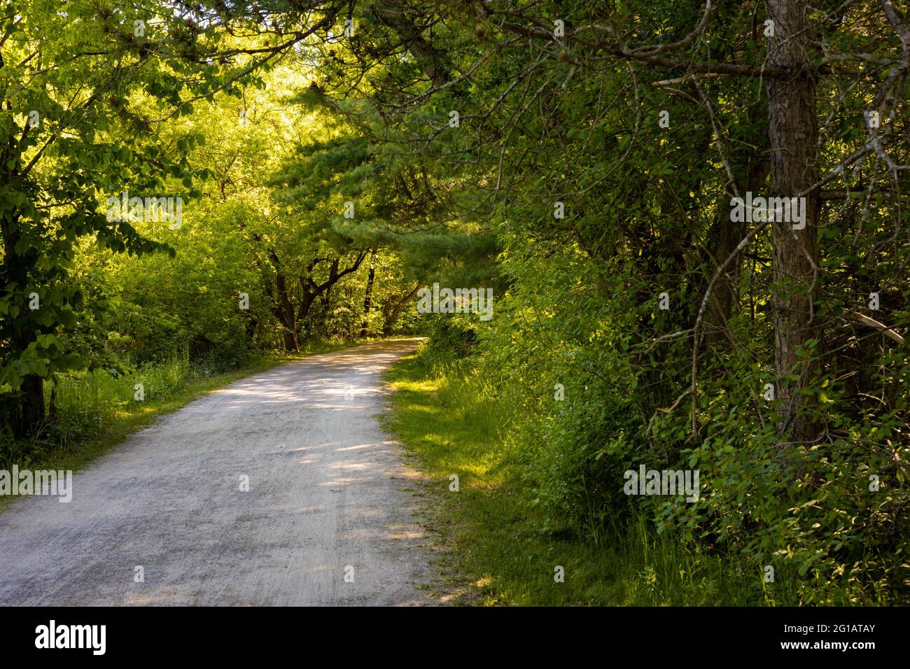 Curved light trail hi-res stock photography and images - Alamy