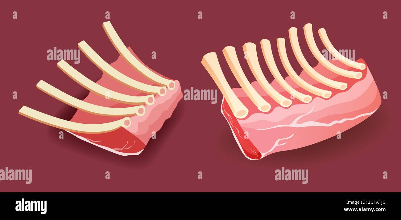 Raw meat - Veal rack Ribs on red background vector illustration Stock ...