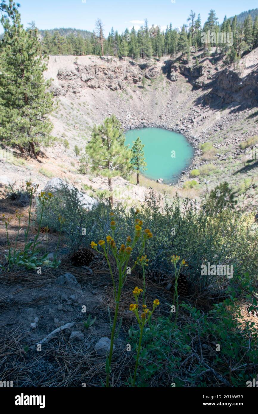 Inyo Craters is a young volcanic crater near Mammoth Lakes in Mono ...