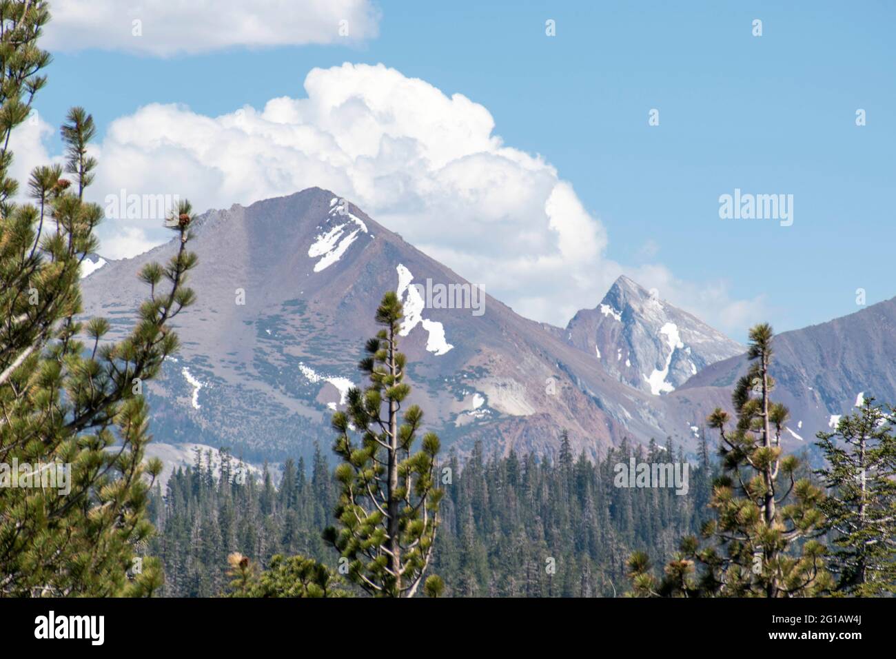 Inyo Craters is a young volcanic crater near Mammoth Lakes in Mono ...