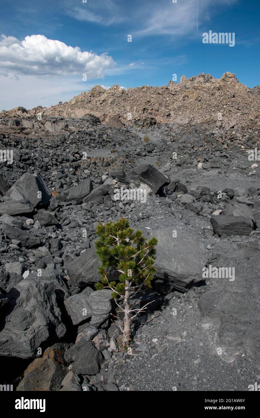 Obsidian Dome is a massive pile of shiny obsidian rock in the Eastern ...