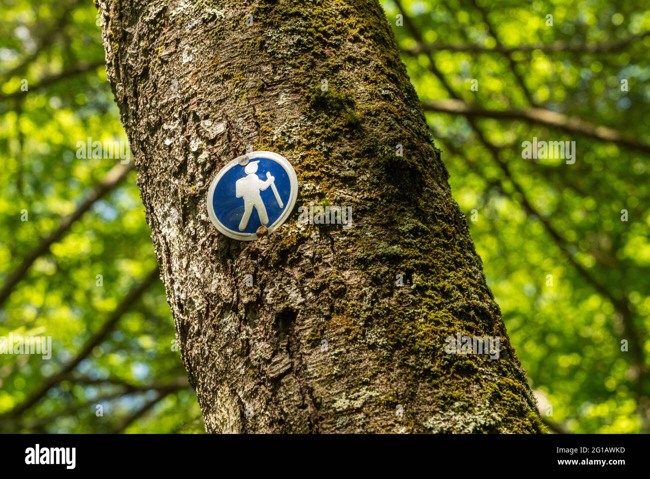 Sign nailed to tree hi-res stock photography and images - Alamy