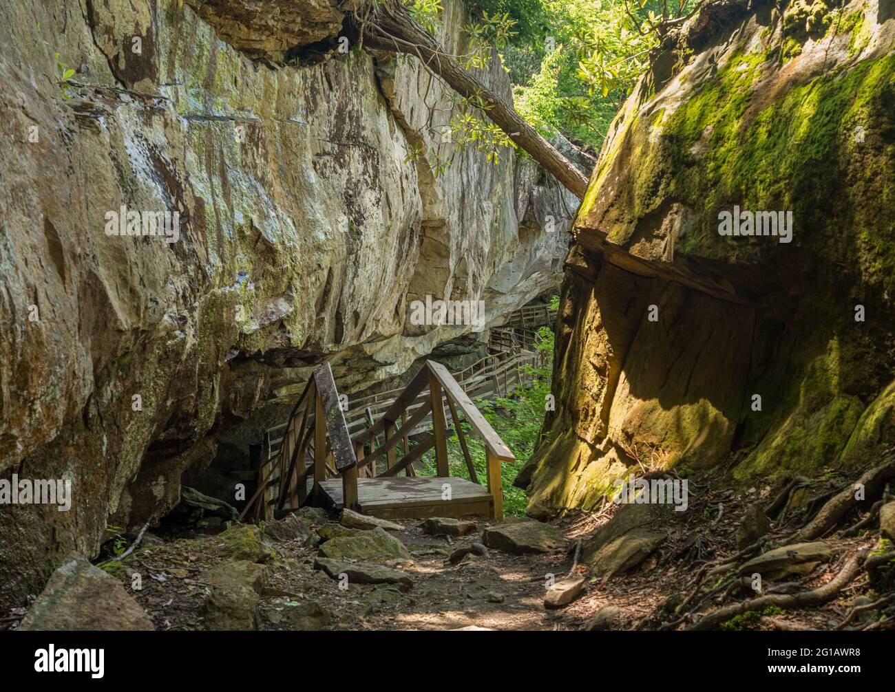 Wooden boardwalk and walkway under the cliffs in the Audra State Park ...