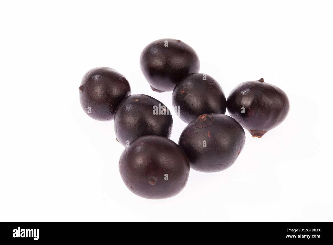 Amazon agriculture Cut Out Stock Images & Pictures - Alamy