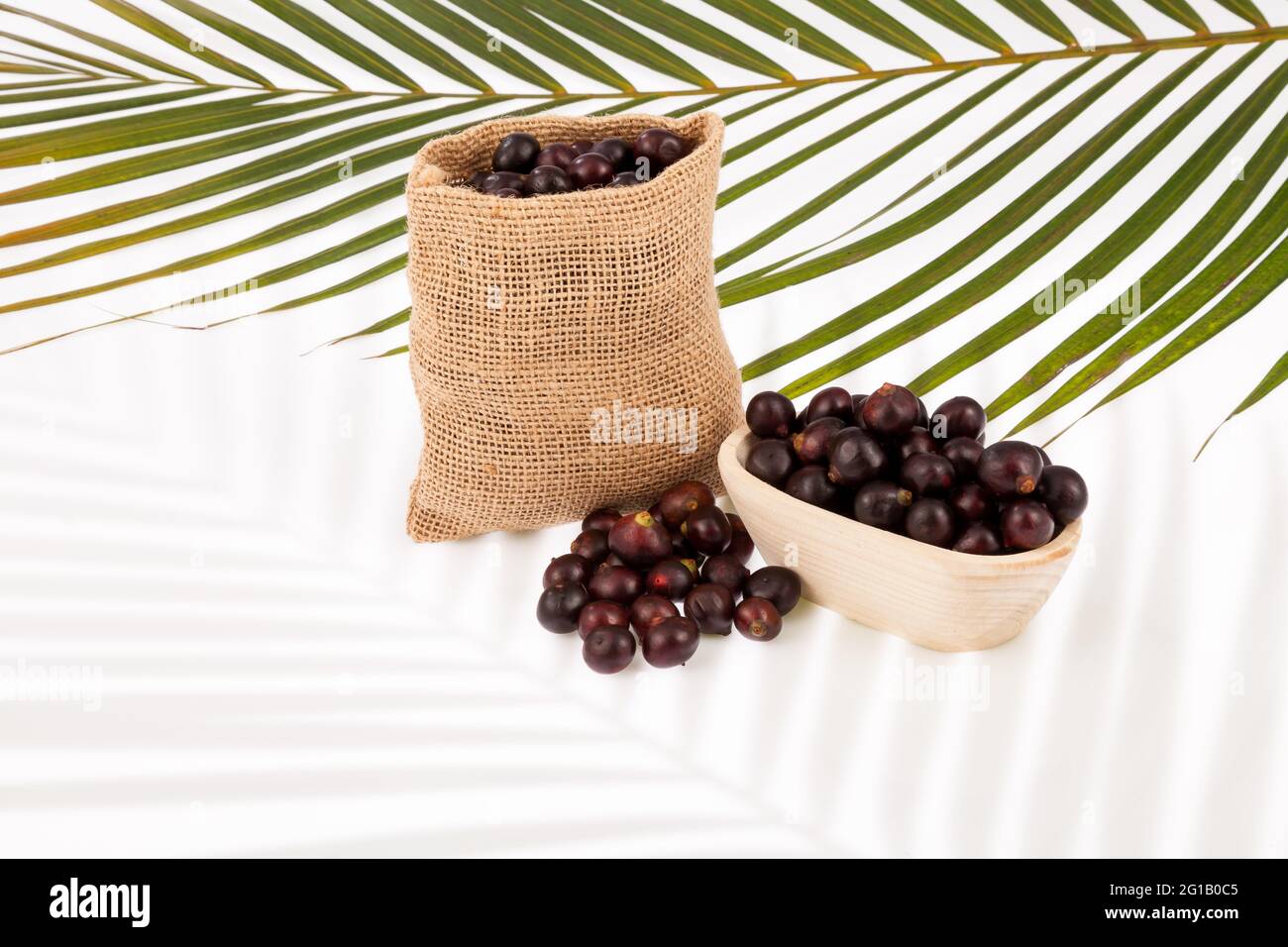 The amazon acai fruit (Euterpe oleracea Stock Photo - Alamy