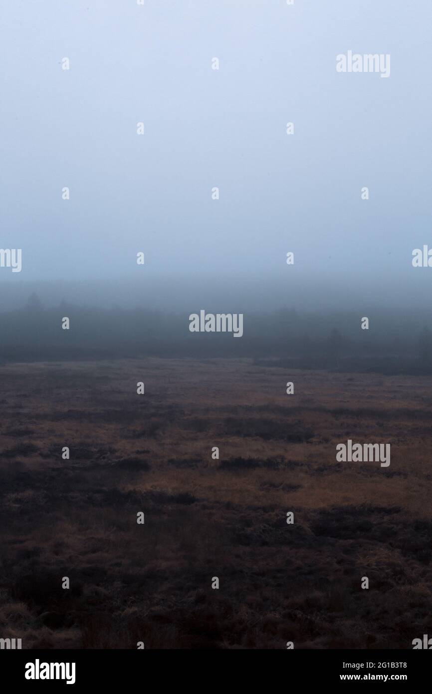 Swamp field hi-res stock photography and images - Alamy