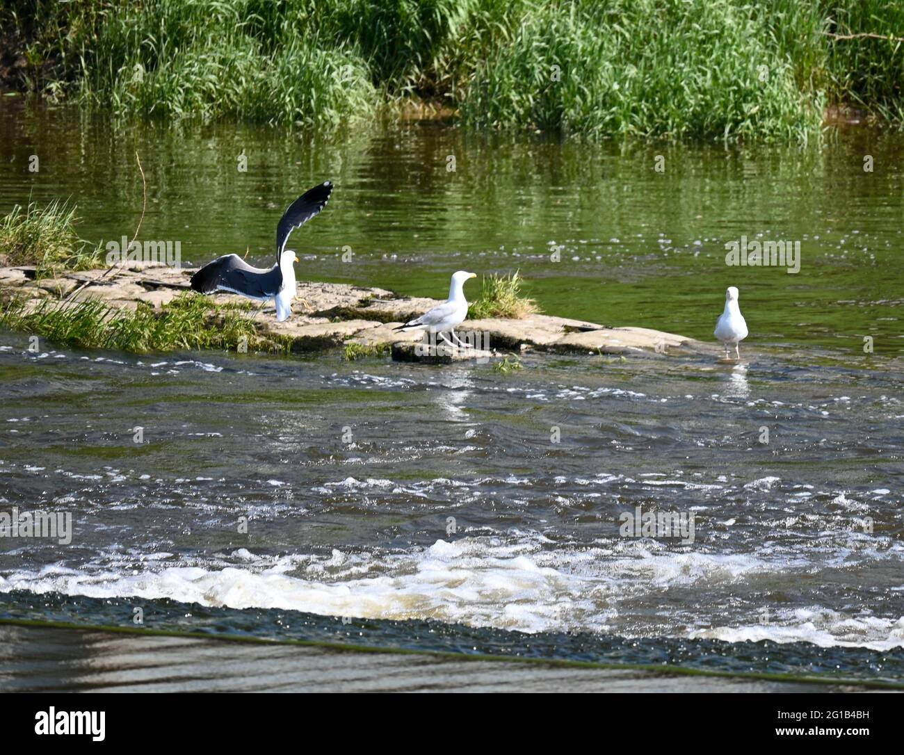 Chester mill hi-res stock photography and images - Alamy