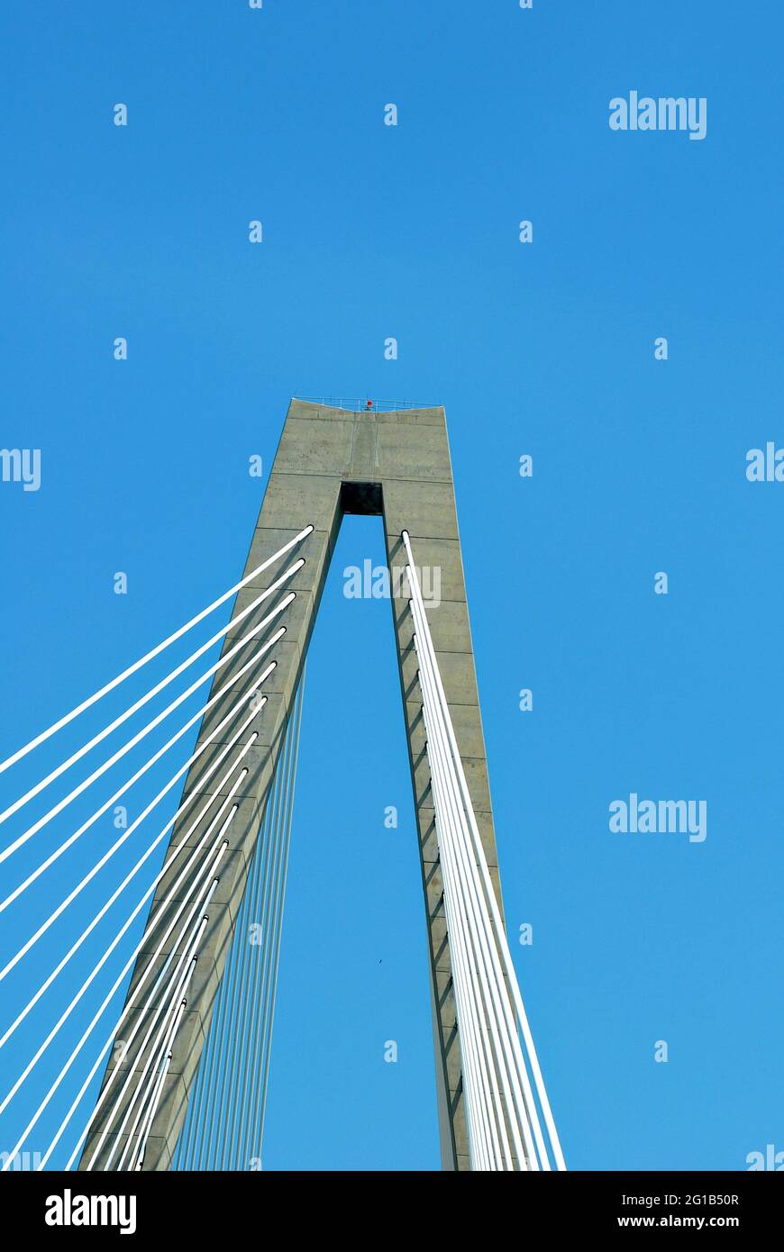 The cable-stayed Arthur Ravenel Jr. Bridge connecting downtown ...