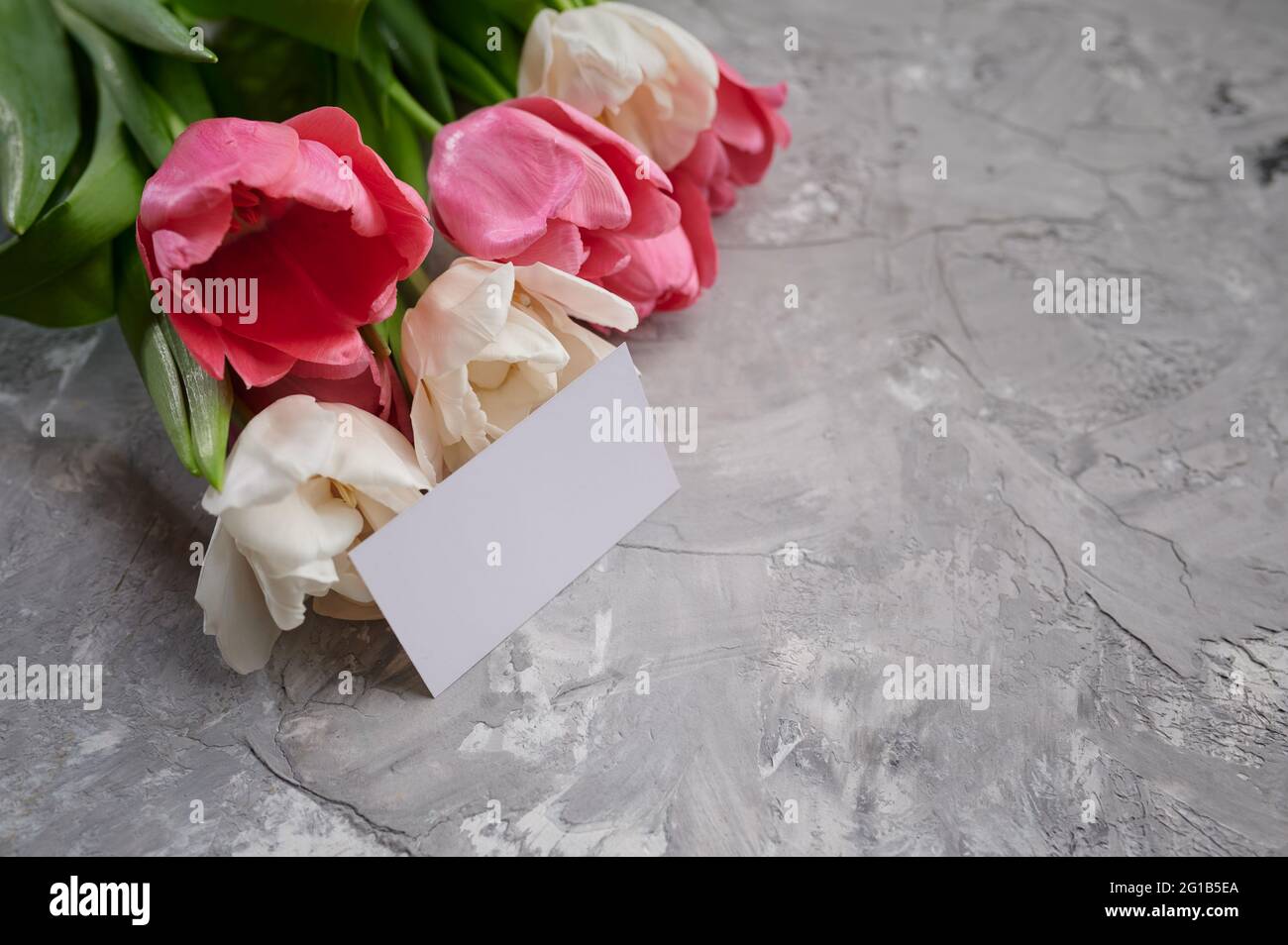 Tulips and greeting card on grunge grey background Stock Photo - Alamy
