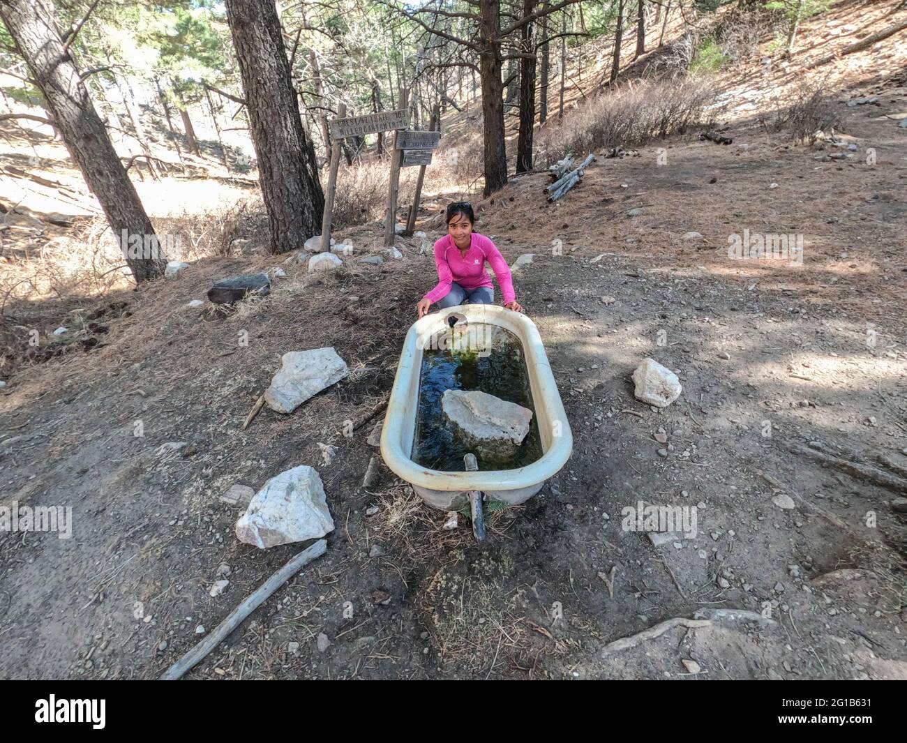 Bathtub Spring on Miller Peak, a water source for the Arizona Trail ...