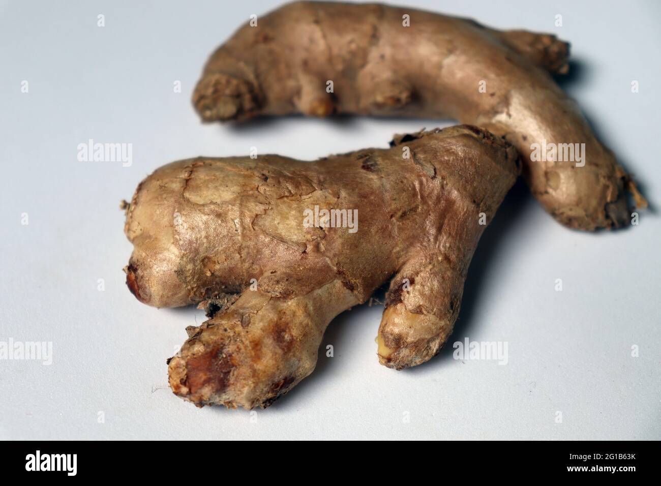 Nourishment stem hi-res stock photography and images - Alamy