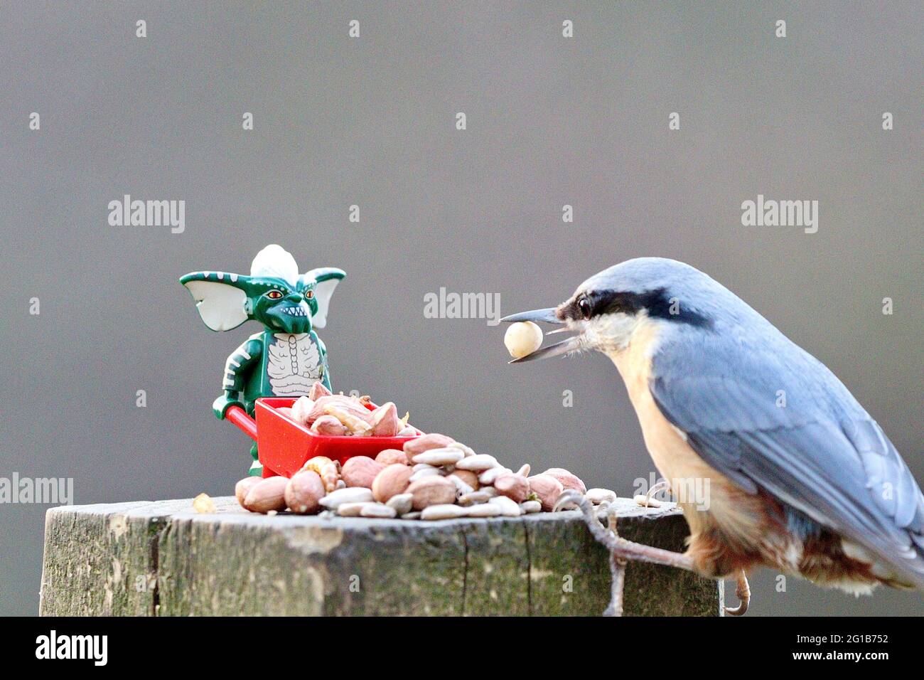 Lego photography hi-res stock photography and images - Alamy