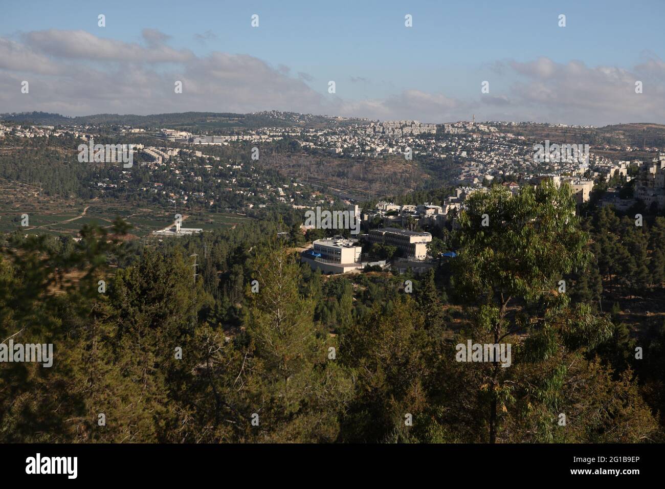 Biblical Judean Hills seen from the Jerusalem forest with Pine Trees ...