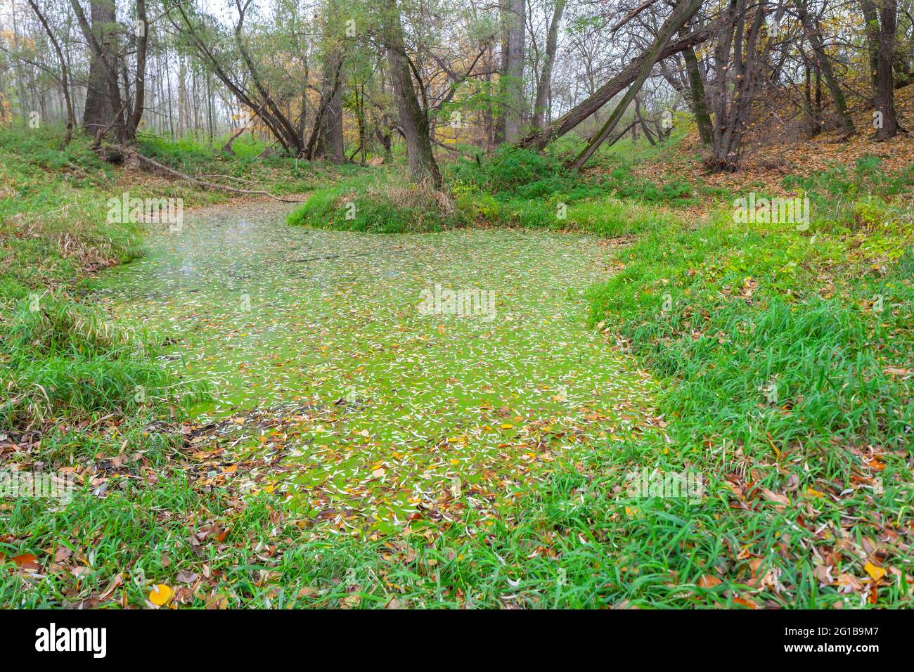 Dyje river hi-res stock photography and images - Alamy