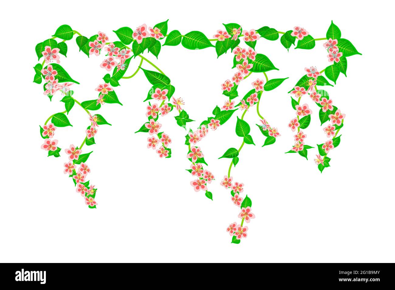 Rose climber wall Stock Vector Images - Alamy