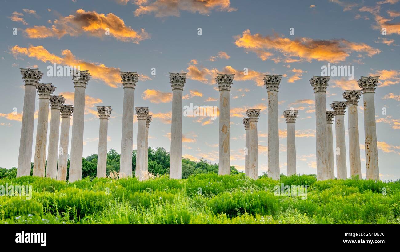 Washington dc national arboretum hi-res stock photography and images - Alamy