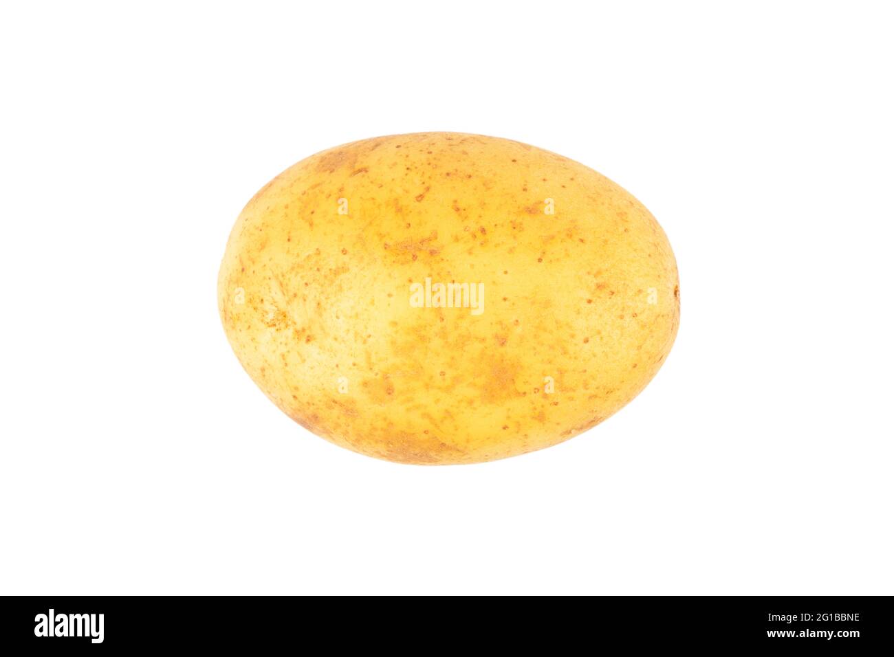 Isolated potato. Whole raw potatoe isolated on white background with ...