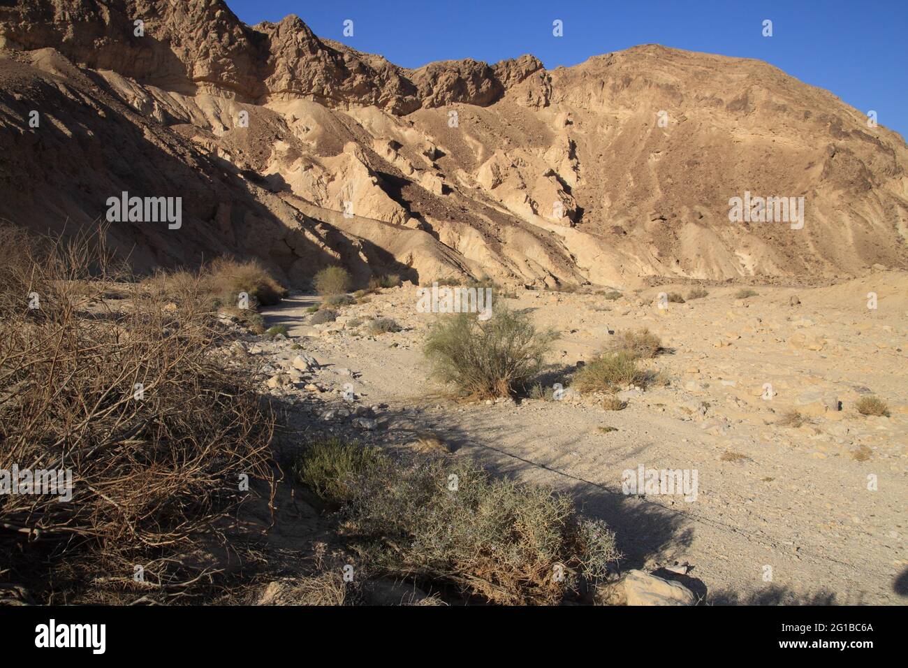 The rocky cliffs and bushes of the dry riverbed of the ravine of Nachal ...