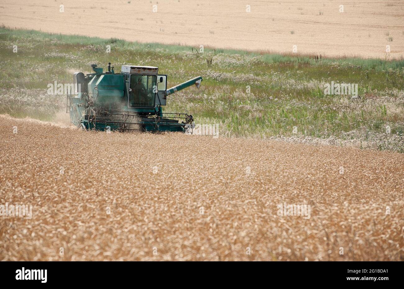 Reaping the wheat hi-res stock photography and images - Alamy