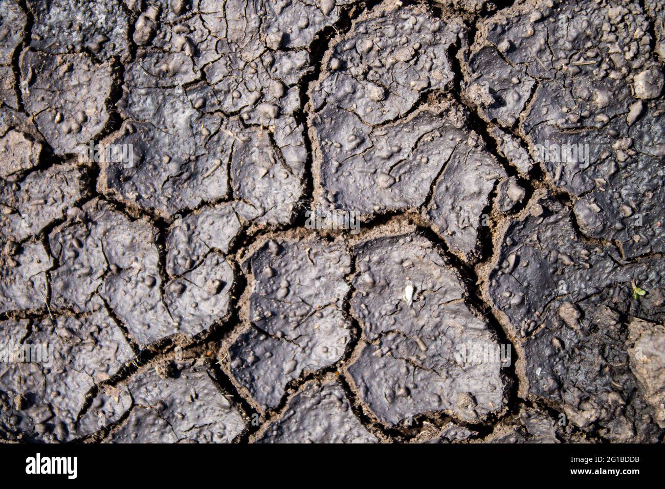 Rain crust hi-res stock photography and images - Alamy